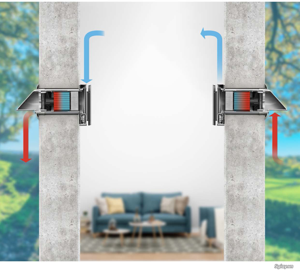 Khám Phá Bí Mật Giúp Không Gian Sống Trong Lành Với Eco Pair Plus | 5giay