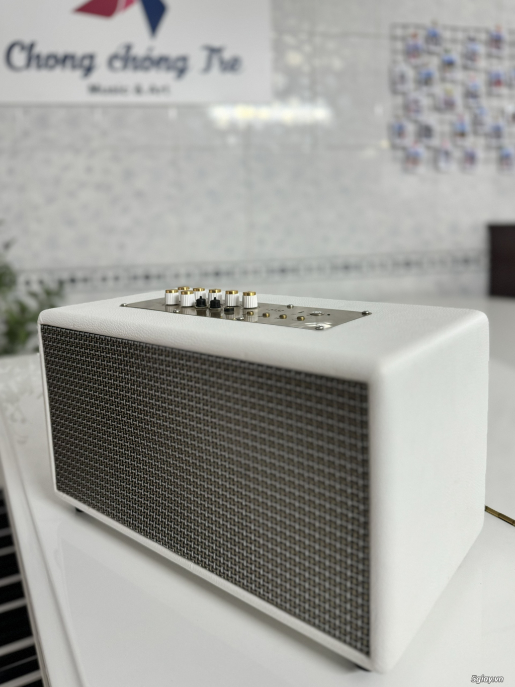 Loa DIY tự làm | 5giay