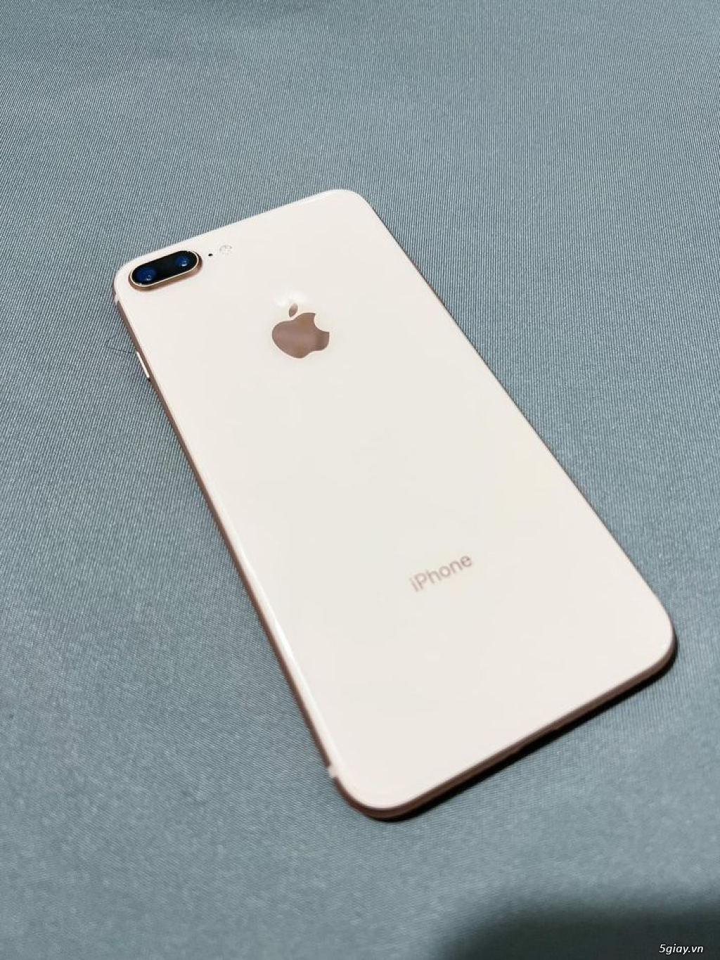 iPhone 8 Plus 99: Cẩm Nang Mua Hàng Thông Minh | 5giay