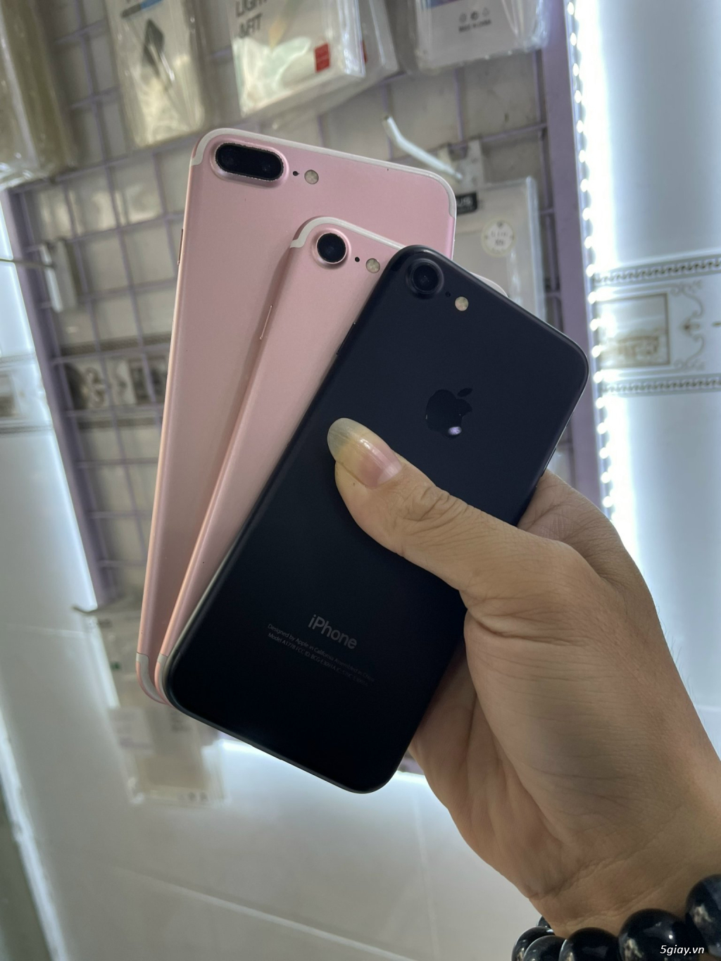 iPhone 7G & 7Plus | 5giay