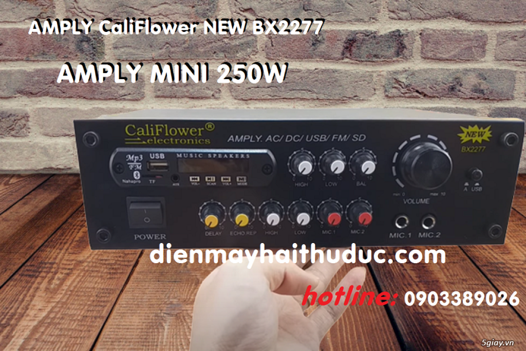 Amply mini Califlower BX2277 có Bluetooth/thẻ nhớ/USB... | 5giay