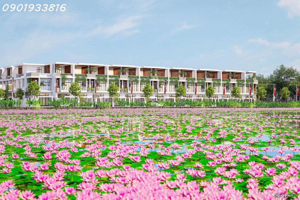 Khu Dân Cư Tân Hội: Lựa Chọn Đột Phá Cho Tương Lai Tài Chính – Vị Trí ...