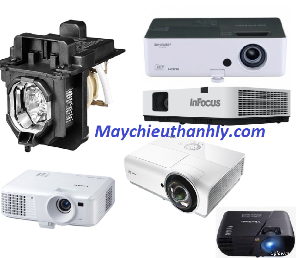 Bóng đèn máy chiếu Viewsonic, Infocus, Canon, Sharp, Vivitek. | 5giay