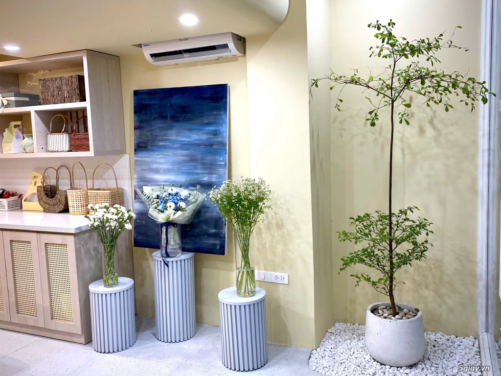 [Ngọc Hà – Hà Nội] Cho thuê mặt bằng kinh doanh vỉa hè rộng | 5giay