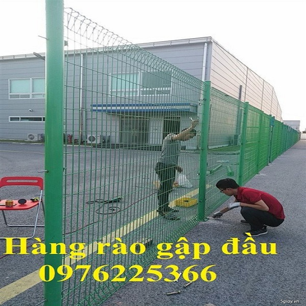 Báo giá hàng rào lưới thép hàn D4, D5, D6 | 5giay