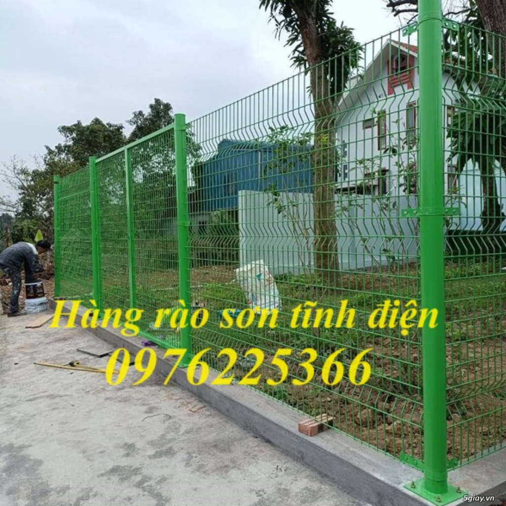 Báo giá hàng rào lưới thép hàn D4, D5, D6 | 5giay