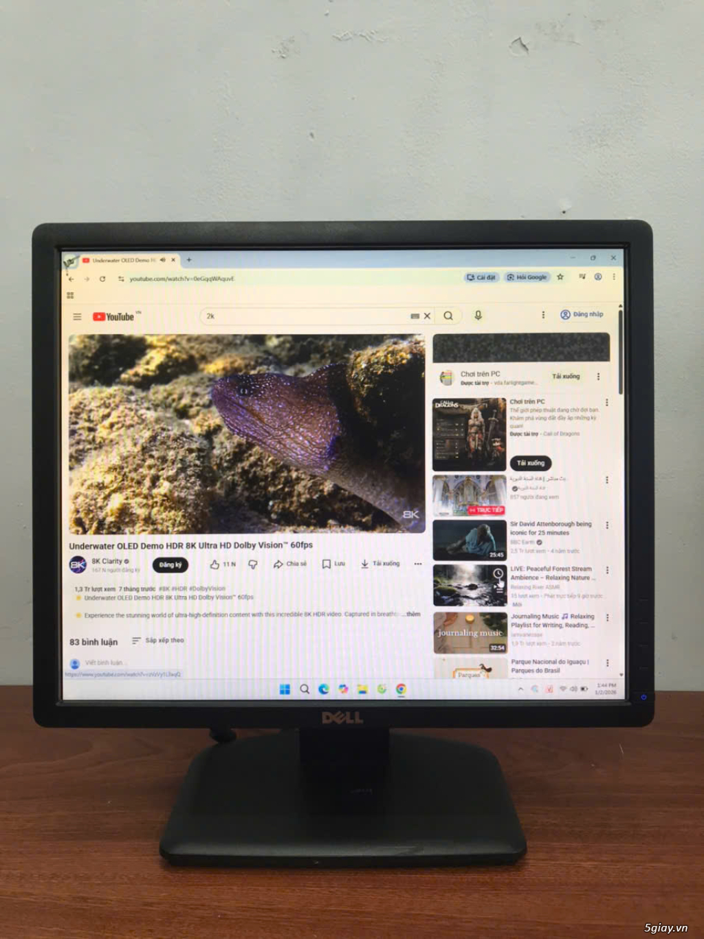 MÀN HÌNH VUÔNG DELL 19 INCH | 5giay